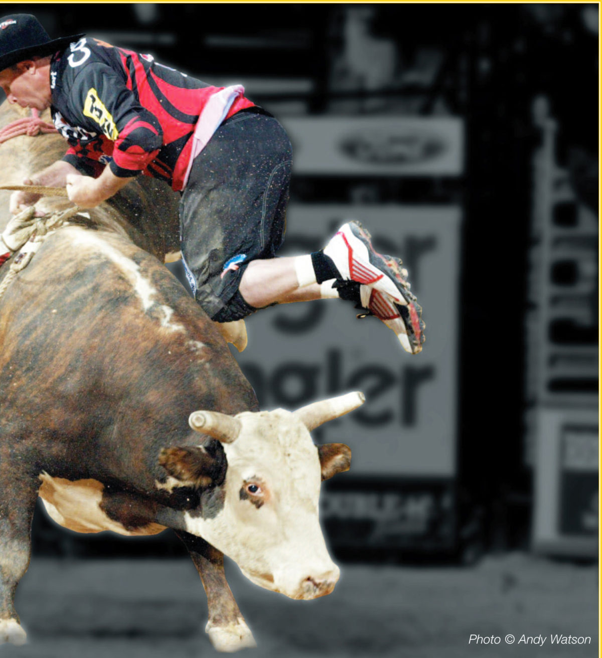 Championship cowboy Rob Smets on bull fighting: “The wildest game of ...