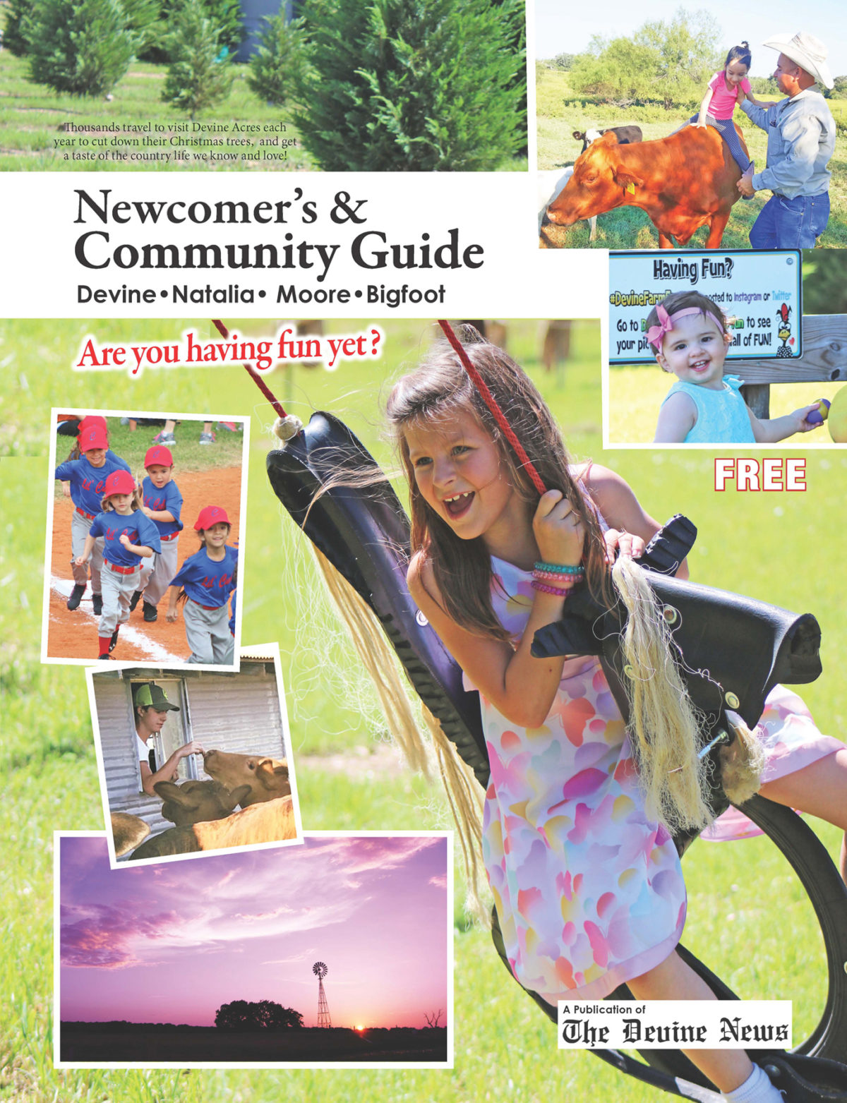 Newcomers Guide for web – The Devine News