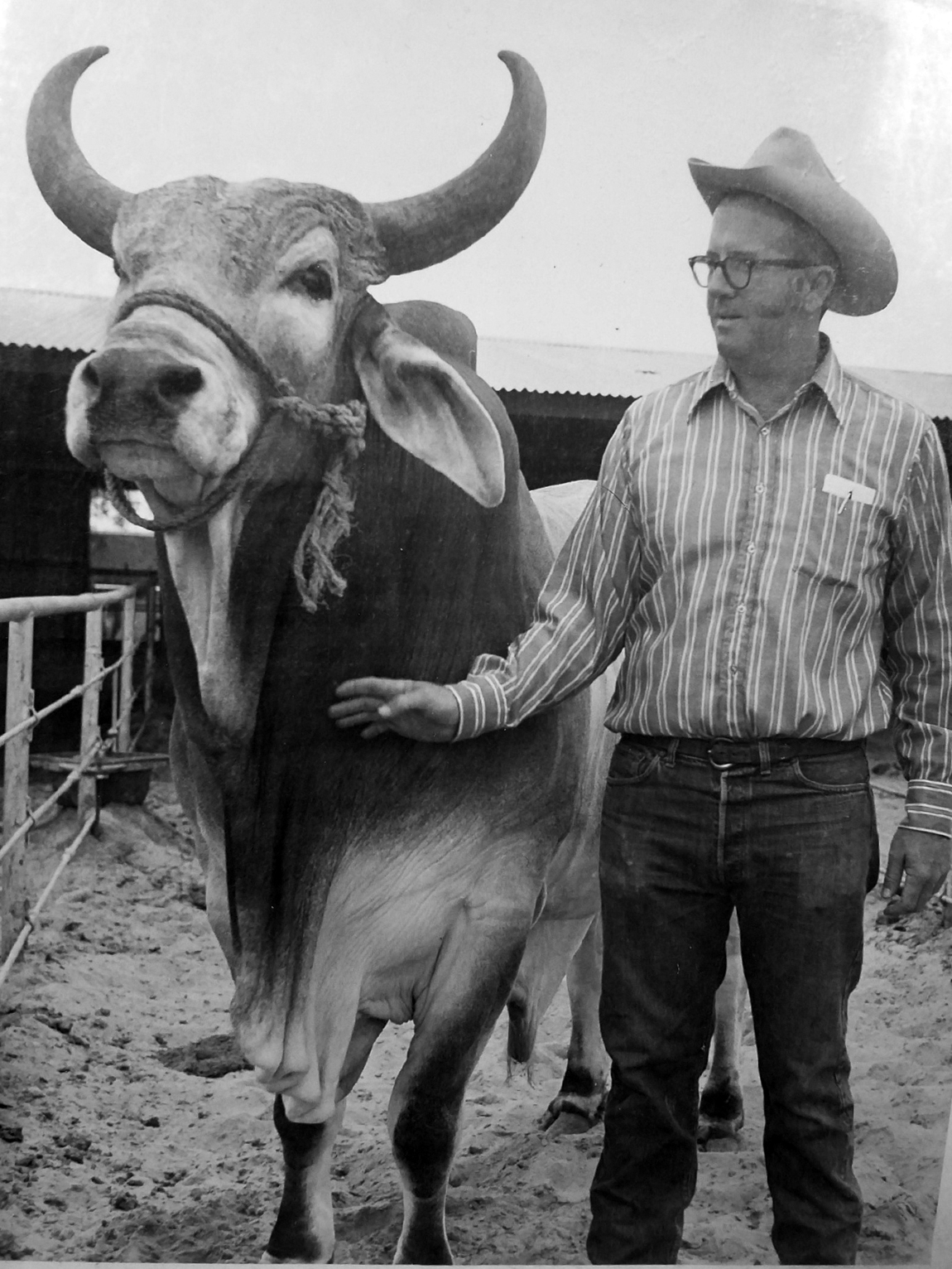 John Watson and Lucille Briggs Watson – The Devine News