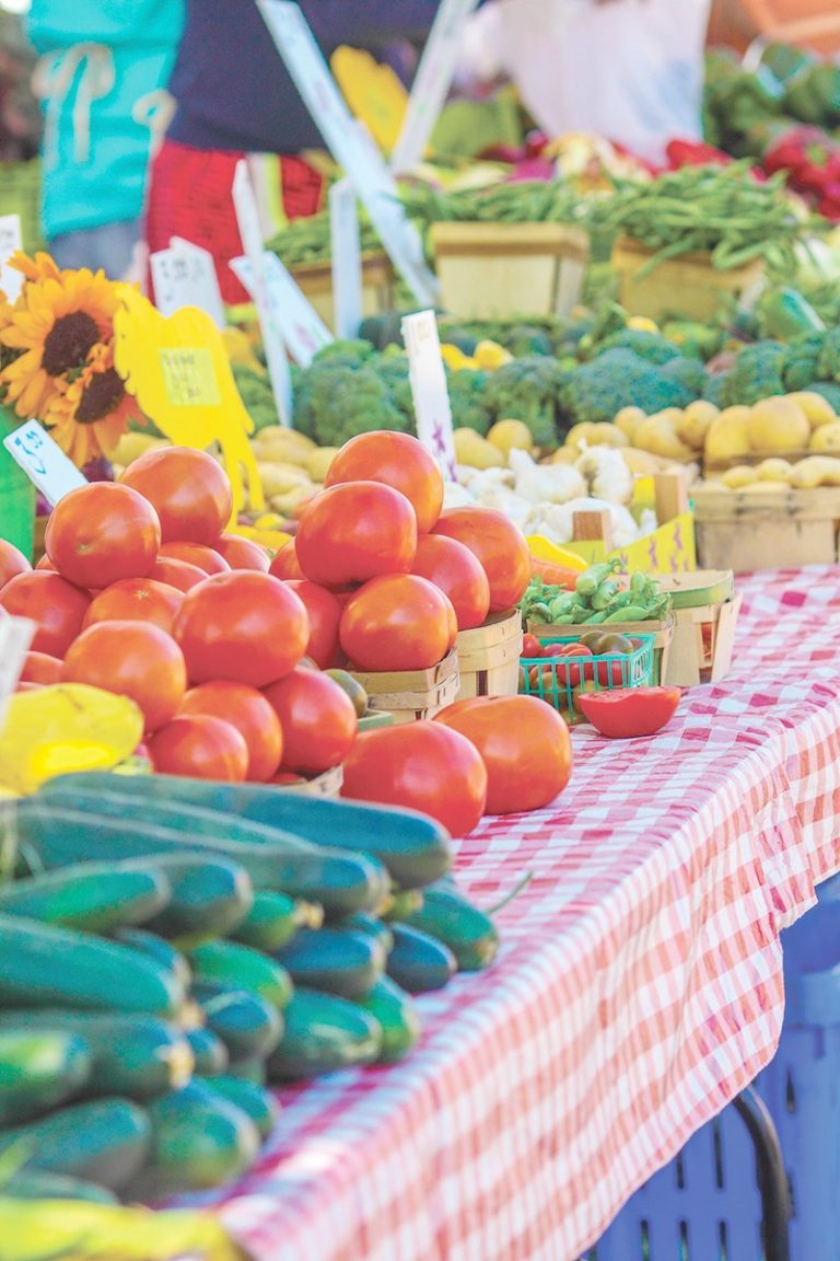 Farmers Market fun – The Devine News