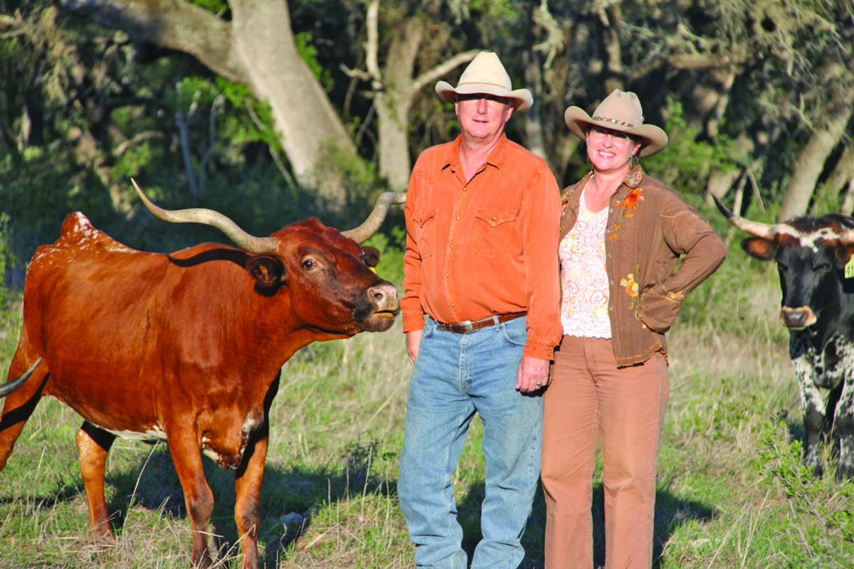 Iconic Texas Longhorns home on the range right here in Medina County ...