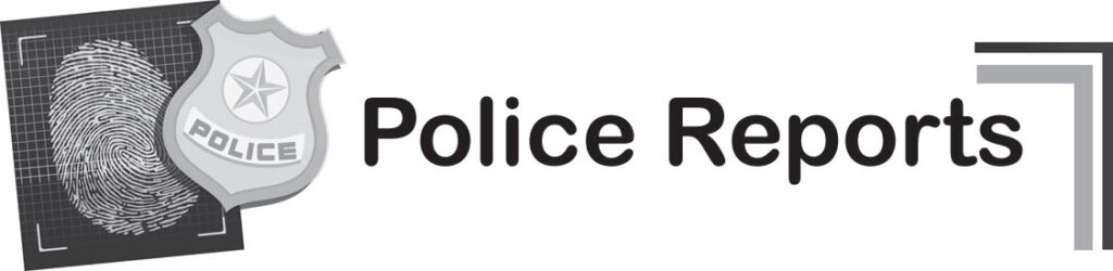 Devine Police Report – The Devine News