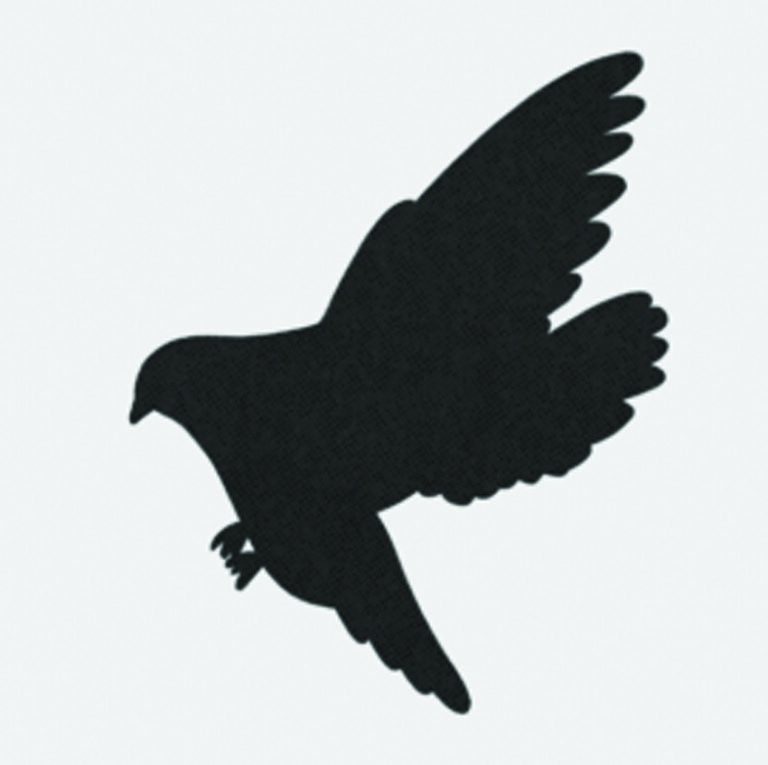 Robert Redus – The Devine News